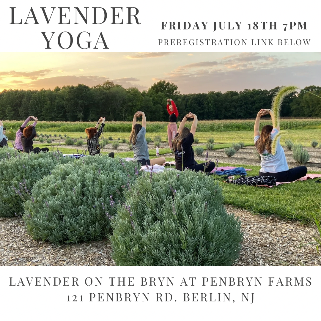 Classes & Events – Lavender on the Bryn at Penbryn Farms